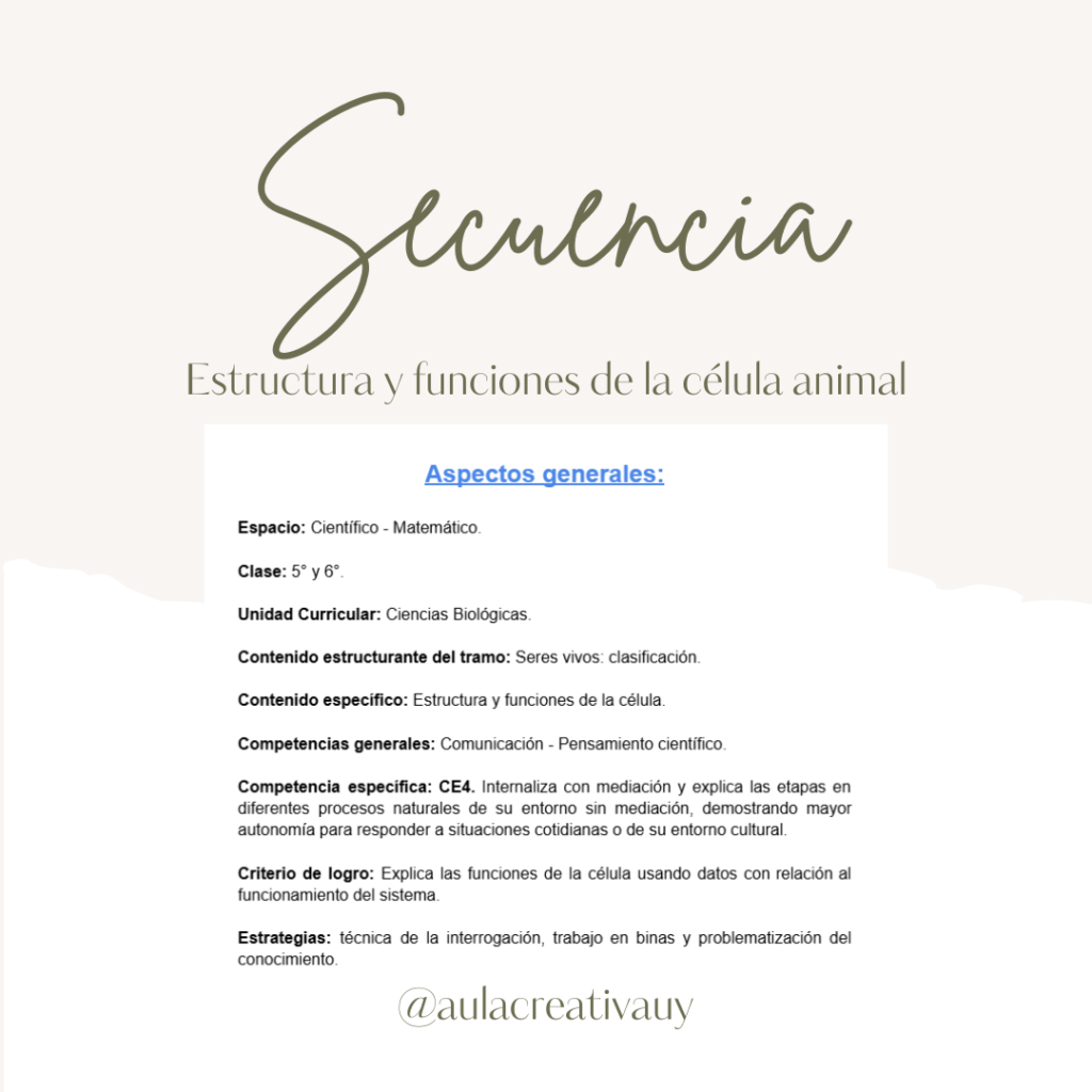 Secuencia – Estructura y funciones de la célula animal – Sexto año ...